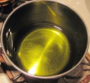 Stevia Plant – How to Grow It and How to Use It for Extract and More