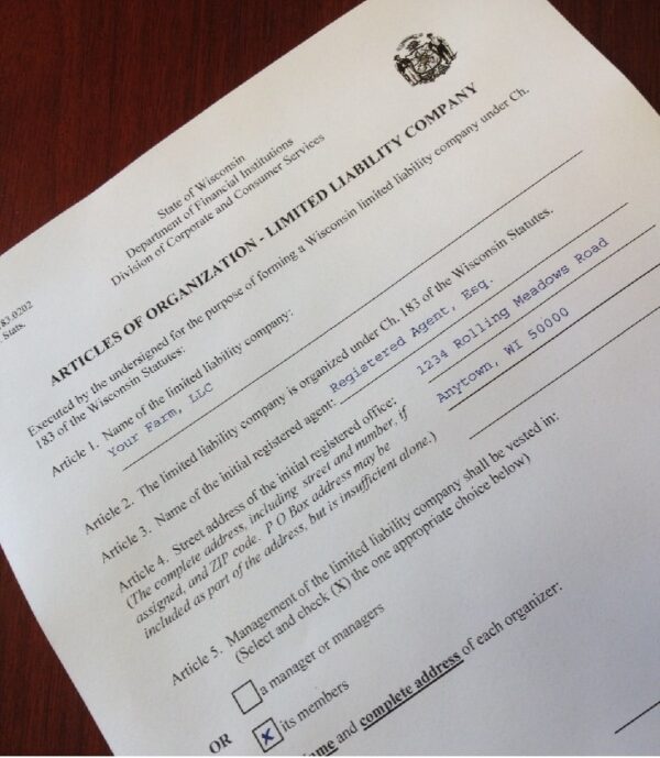 Sole Proprietorship vs LLC - Are all Your Eggs in One Basket?