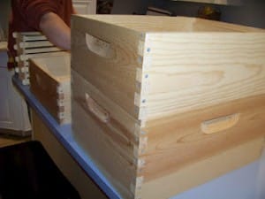 Getting Started Beekeeping Iron Oak Farm S First Hive