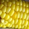 Bt Corn - What it is, and Why Should You Care About it