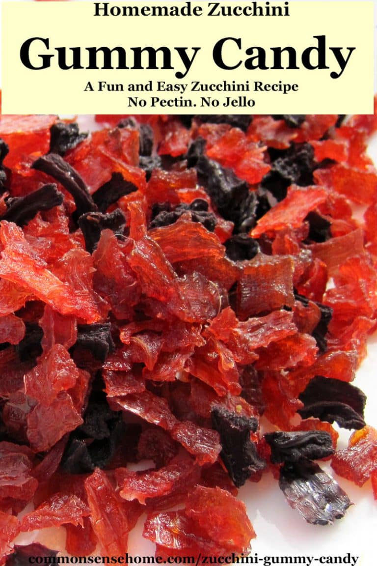 Common Sense Home Recipes and Kitchen Tips Index