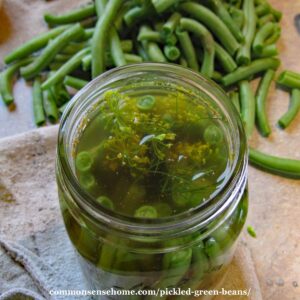 How to Store Green Beans (for Short Term or Long Term)