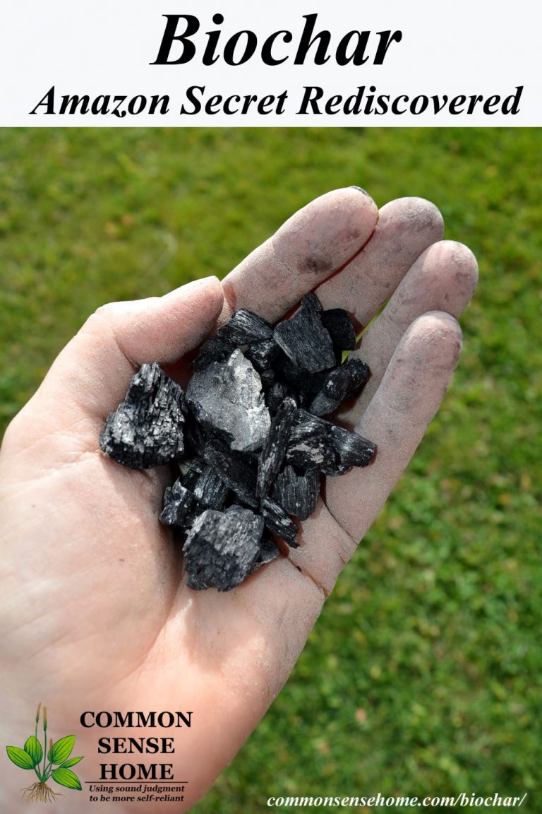 Biochar - Amazon Secret Rediscovered