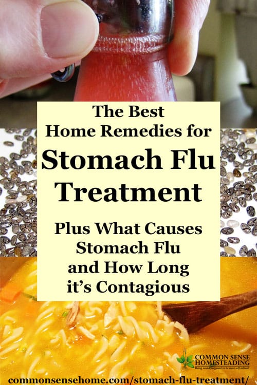 The Best Home Remedies For Stomach Flu Treatment