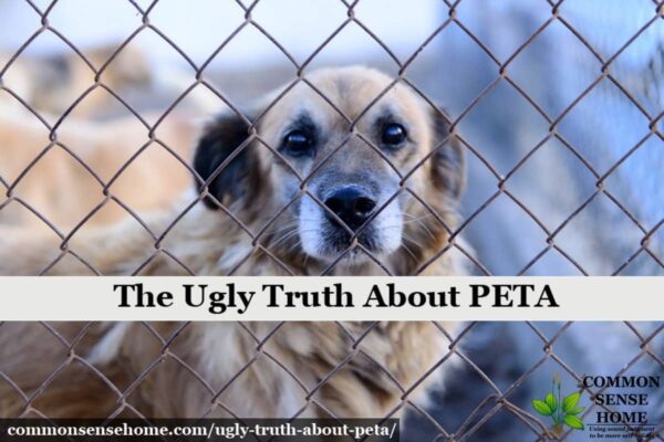 The Ugly Truth About PETA - They're Not What you Might Think
