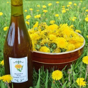 Dandelion Wine Recipe (& the Mistake You Don't Want to Make)