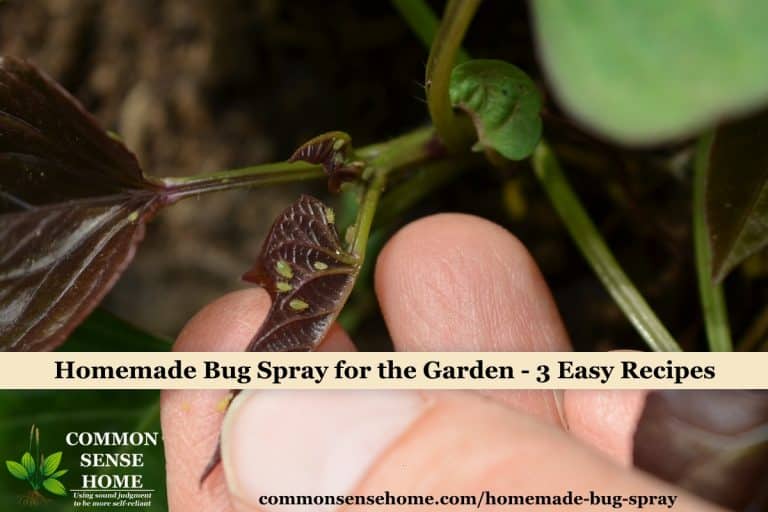 Homemade Bug Spray for the Garden - 3 Easy Recipes