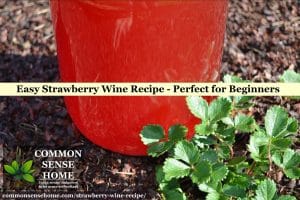 Easy Strawberry Wine Recipe - Perfect for Beginners