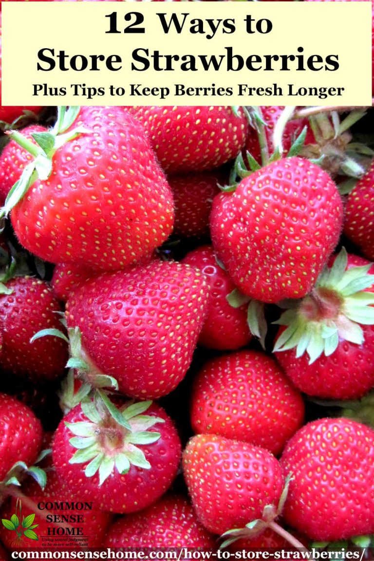How to Store Strawberries 12 Ways