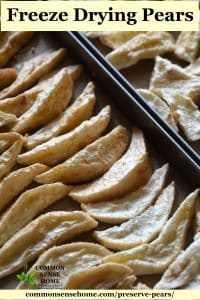 9 Ways to Preserve Pears, Plus Tips to Prevent Browning