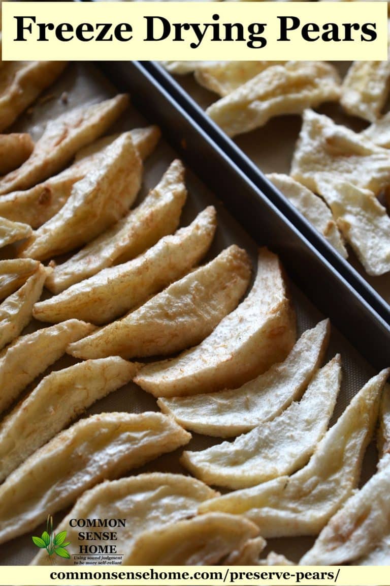 9 Ways to Preserve Pears, Plus Tips to Prevent Browning