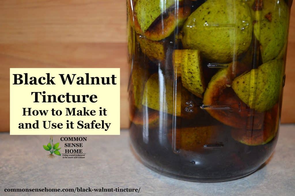 Black Walnut Dogs Toxicity at Patti Smart blog