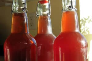 5 Reasons to Use Probiotics for Colds and Flu (Prevention & Treatment)