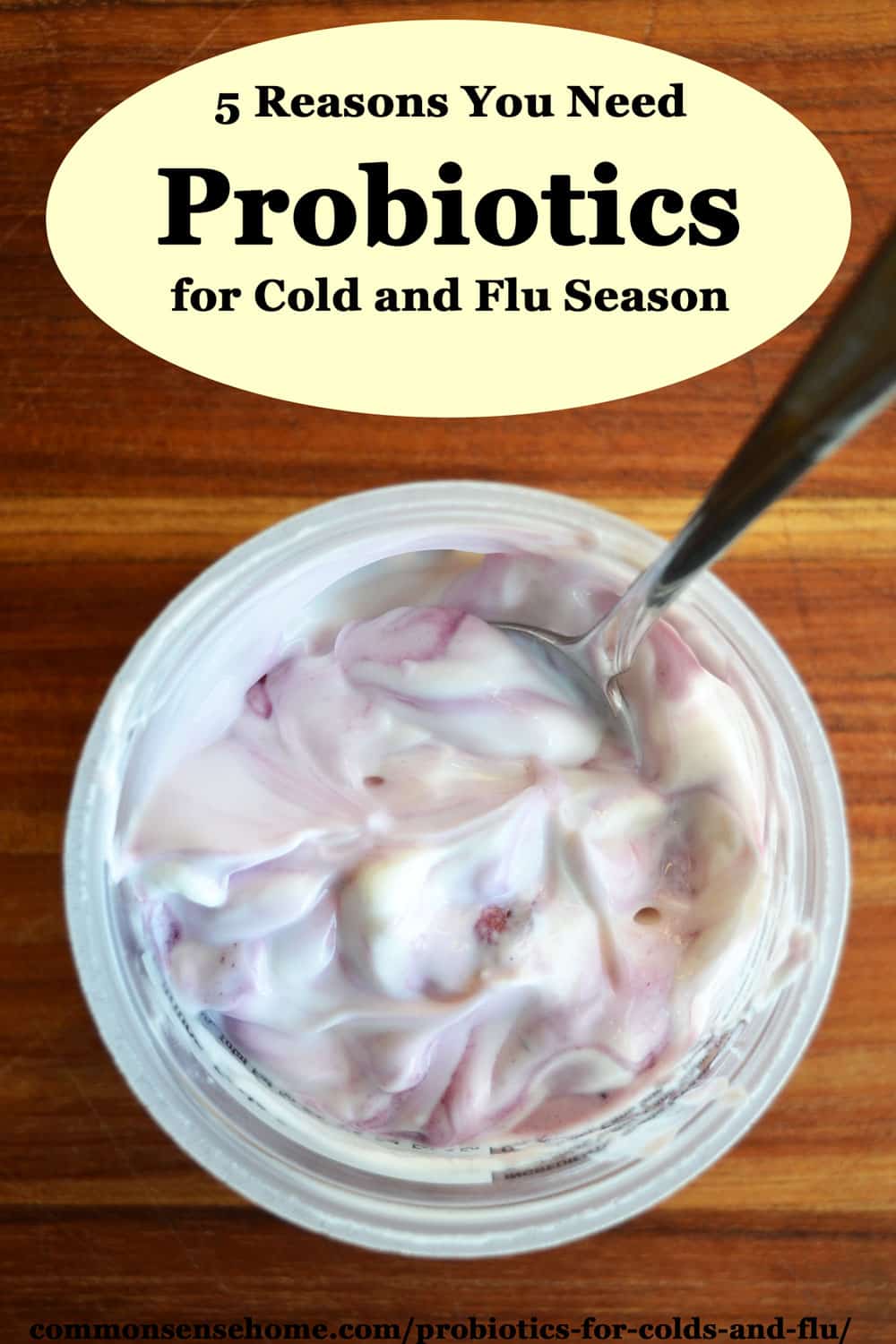 Best Probiotics for Cold and Flu (+ 5 Ways they Help)