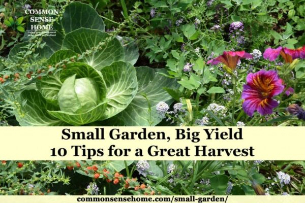 Small Garden Ideas - 10 Tips to Grow More Food in Less Space