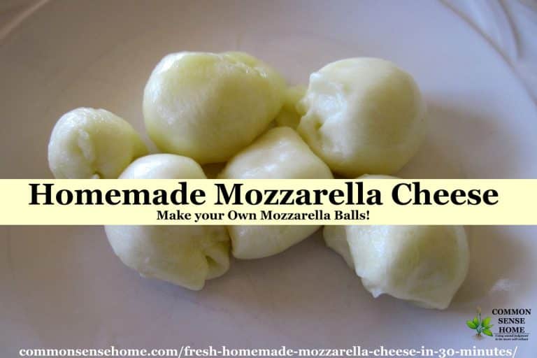 Fresh Homemade Mozzarella Cheese Recipe - Make Mozzarella Balls!
