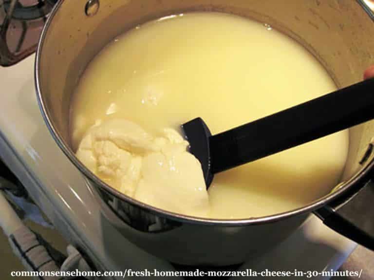 Fresh Homemade Mozzarella Cheese Recipe - Make Mozzarella Balls!