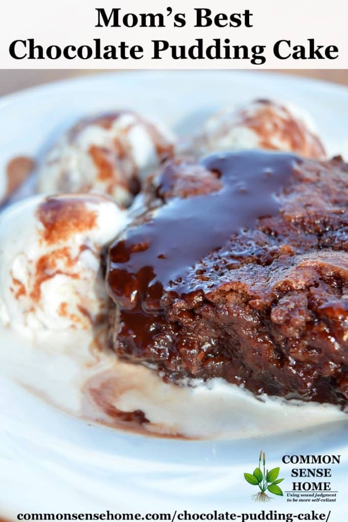 Mom's Best Chocolate Pudding Cake Recipe - Easy, From Scratch
