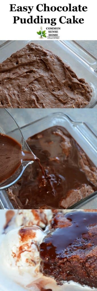 Mom's Best Chocolate Pudding Cake Recipe - Easy, From Scratch