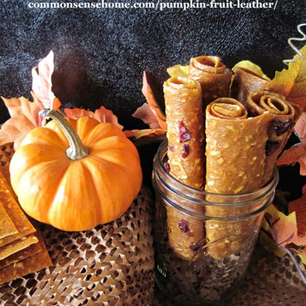 Pumpkin Fruit Leather - Tastes Like Portable Pumpkin Pie