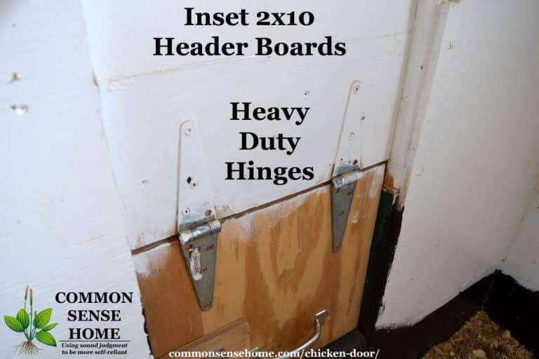 Quick Lock Chicken Door - Predator Resistant, Easy Latch Open or Closed