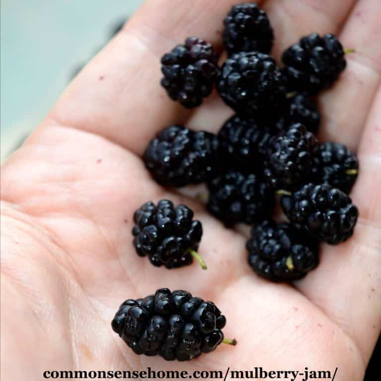Mulberry Jam Recipe - Use Fresh or Frozen Berries