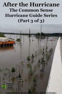 After the Hurricane - The Common Sense Hurricane Guide Series
