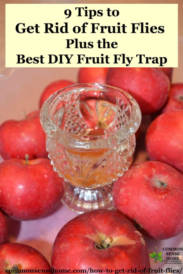 How to Get Rid of Fruit Flies (Plus Easy Fruit Fly Trap)
