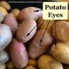 Potato Towers - Best Varieties to Grow and Other Tips for Success