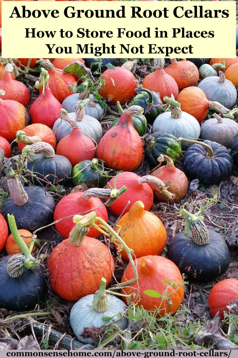 Above Ground Root Cellars - Enjoy Your Local Produce Longer