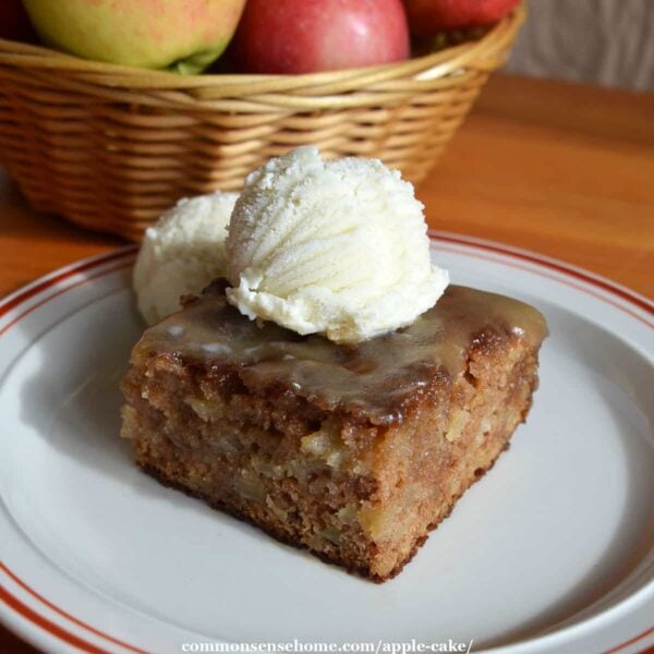 Easy Apple Cake with Caramel Topping - So Good!