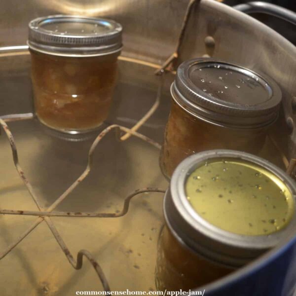 Maple Apple Jam Recipe - Tastes Like Fall in a Jar