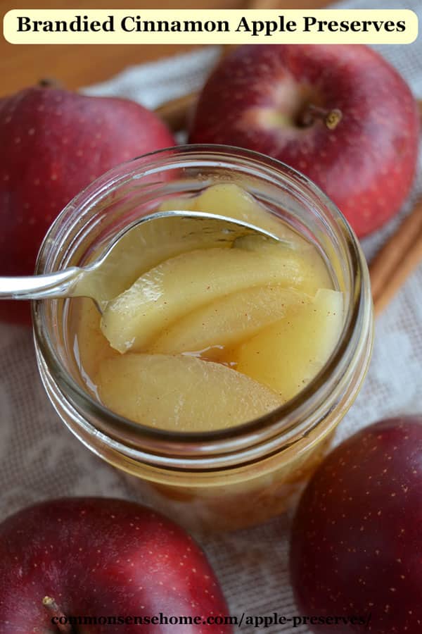 Brandied Cinnamon Apple Preserves (Low Sugar Recipe)