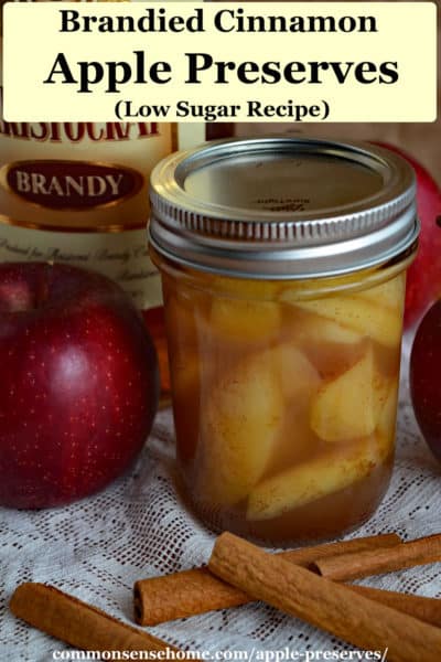 Brandied Cinnamon Apple Preserves (Low Sugar Recipe)