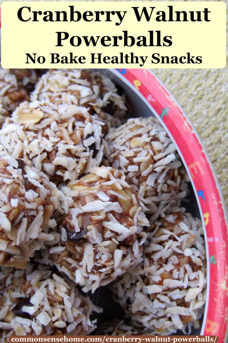Cranberry Walnut Powerballs - No Bake Healthy Snacks