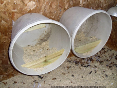 Chicken Nesting Boxes - What You Need for Happy Hens