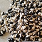 What are shell beans? (Growing Tips, Usage, Storage)