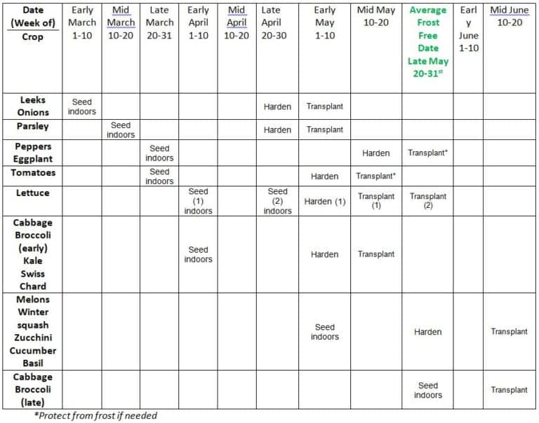 When Should I Start Seeds? Indoor and Outdoor Charts