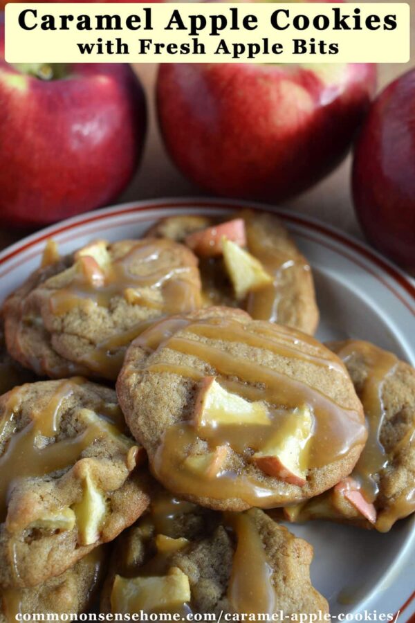 Caramel Apple Cookies (Made with Fresh Apple Bits)