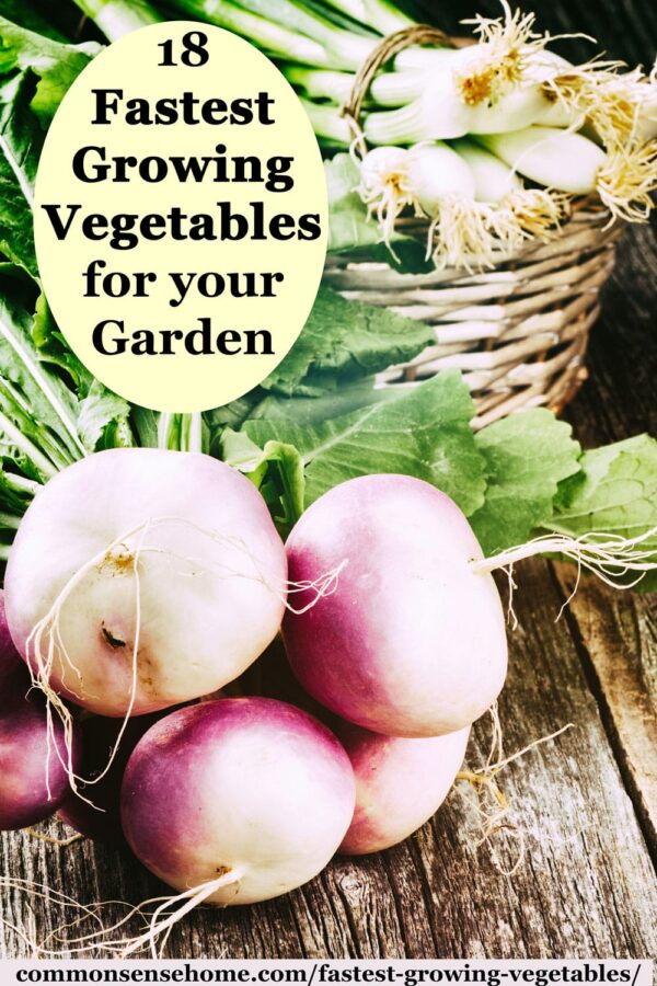 18 Fastest Growing Vegetables (Indoors, Garden, Containers)