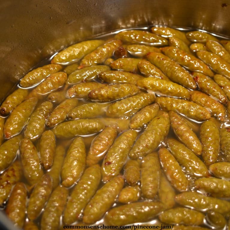 Sweet & Aromatic Pinecone Jam Recipe (Like Pine Cone Honey)