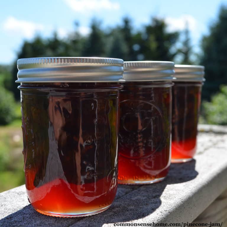 Sweet & Aromatic Pinecone Jam Recipe (Like Pine Cone Honey)