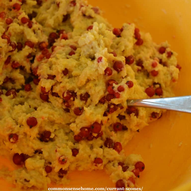 Currant Scones (Made with Fresh Currants)