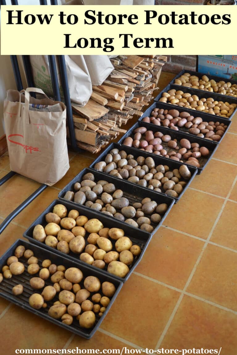 How to Store Potatoes Long Term