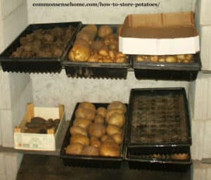 How to Store Potatoes Long Term