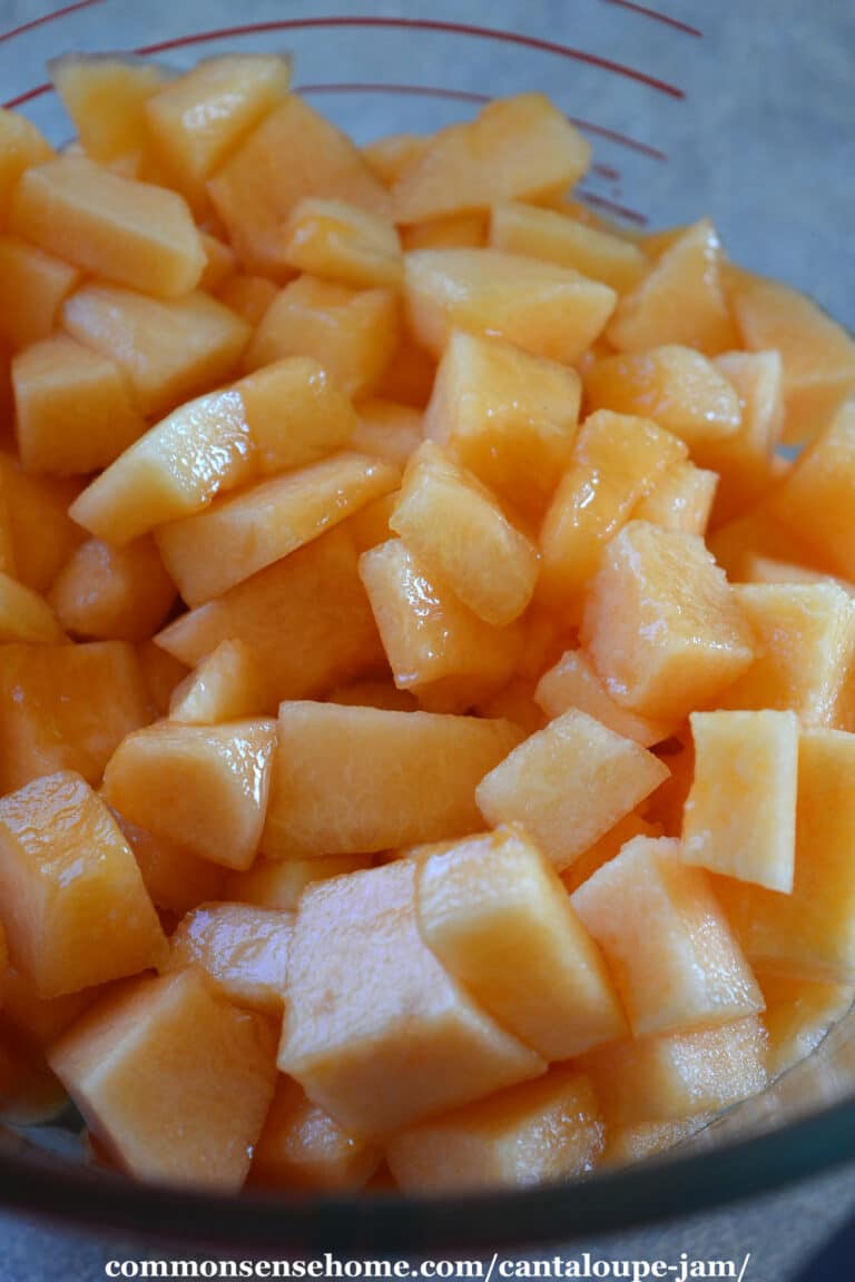 Cantaloupe Jam with Vanilla Extract