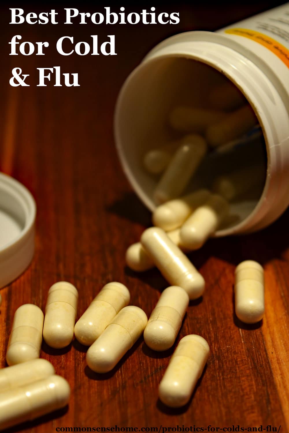 Best Probiotics for Cold and Flu (+ 5 Ways they Help)