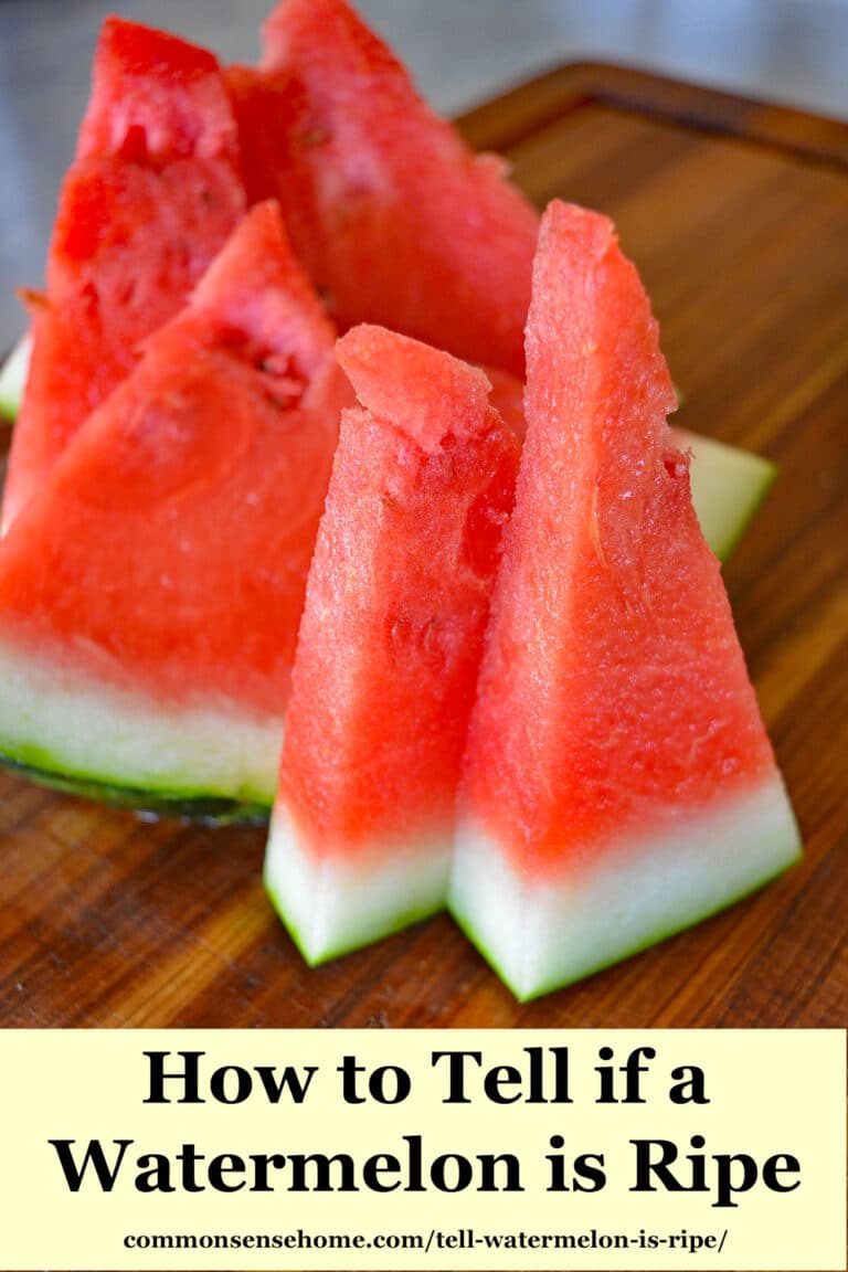 How to Tell if a Watermelon is Ripe (Pick the Best Melon!)