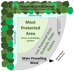 Windbreak Design: Maximize Your Land's Potential