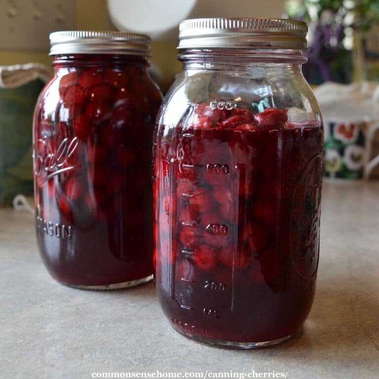 Canning Cherries in a Water Bath Canner or Steam Canner